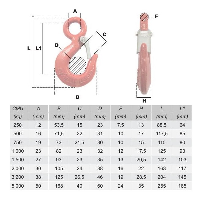 Crochet de levage avec linguet de sécurité | 250 kg à 5 000 kg