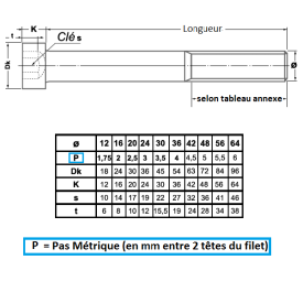 VIS CHC GRANDES LONGUEURS DIN 912 ISO 4762 BRUT 12.9 - www.esse.fr
